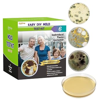 Mold Test Kit for Home Within 6 Individual Tests,DIY Detector at Home ...