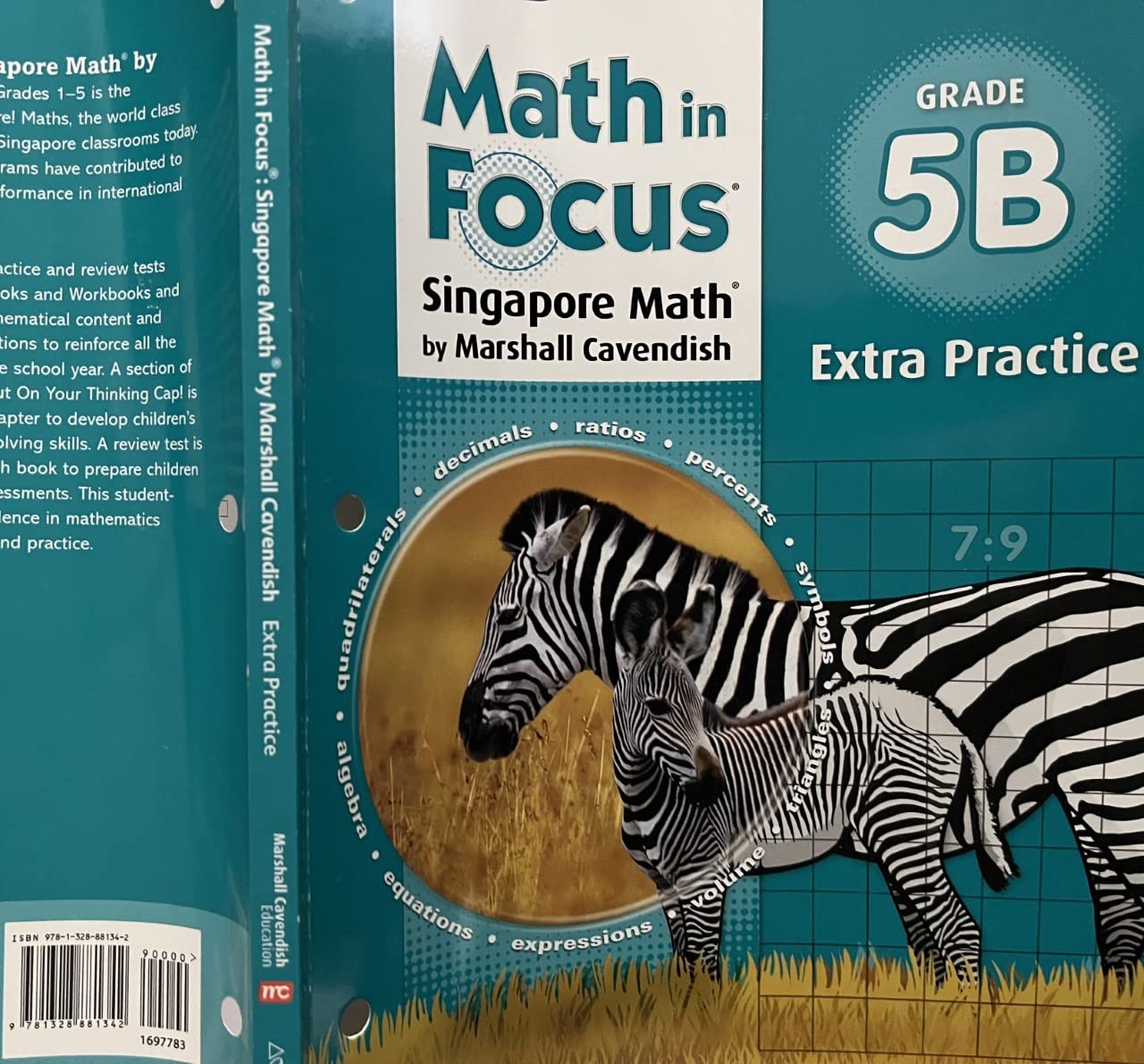 Buy Math in Focus, the Singapore Approach: Extra Practice Blackline ...