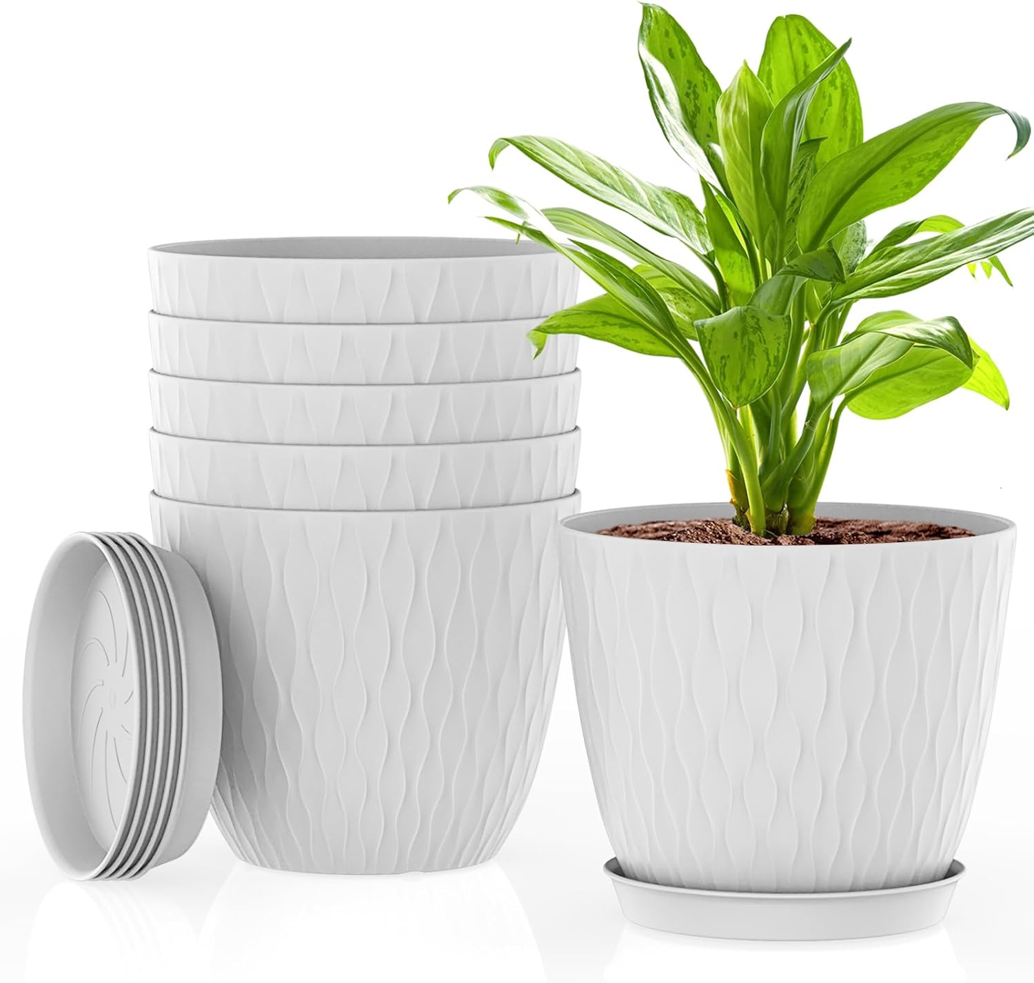 Amazon.com: 6 Inch Plant Pots, 6 Pack Flower Pots for Indoor and ...