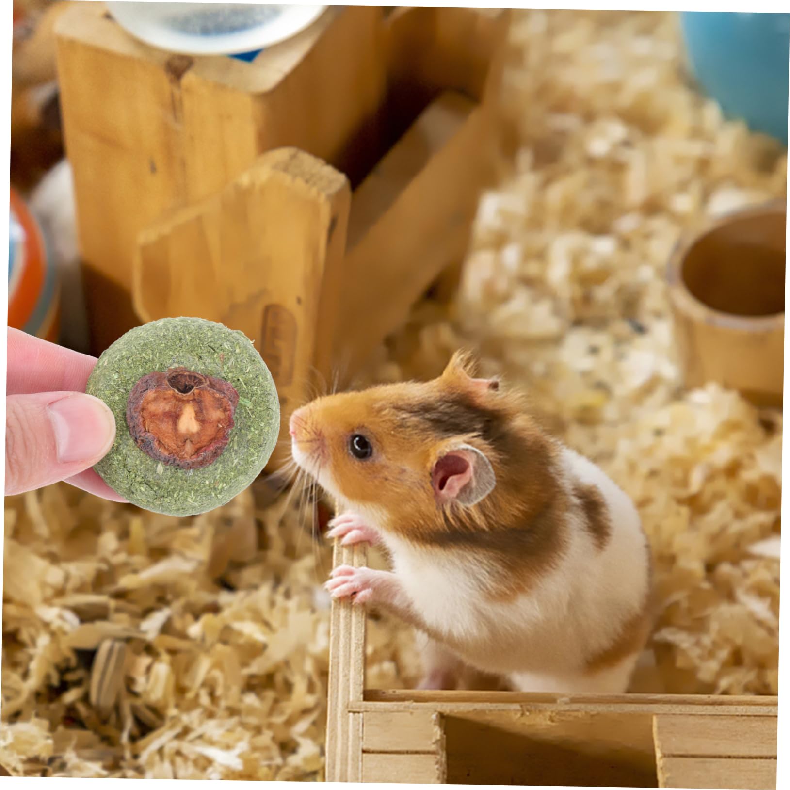 Homemade Hamster Treats
