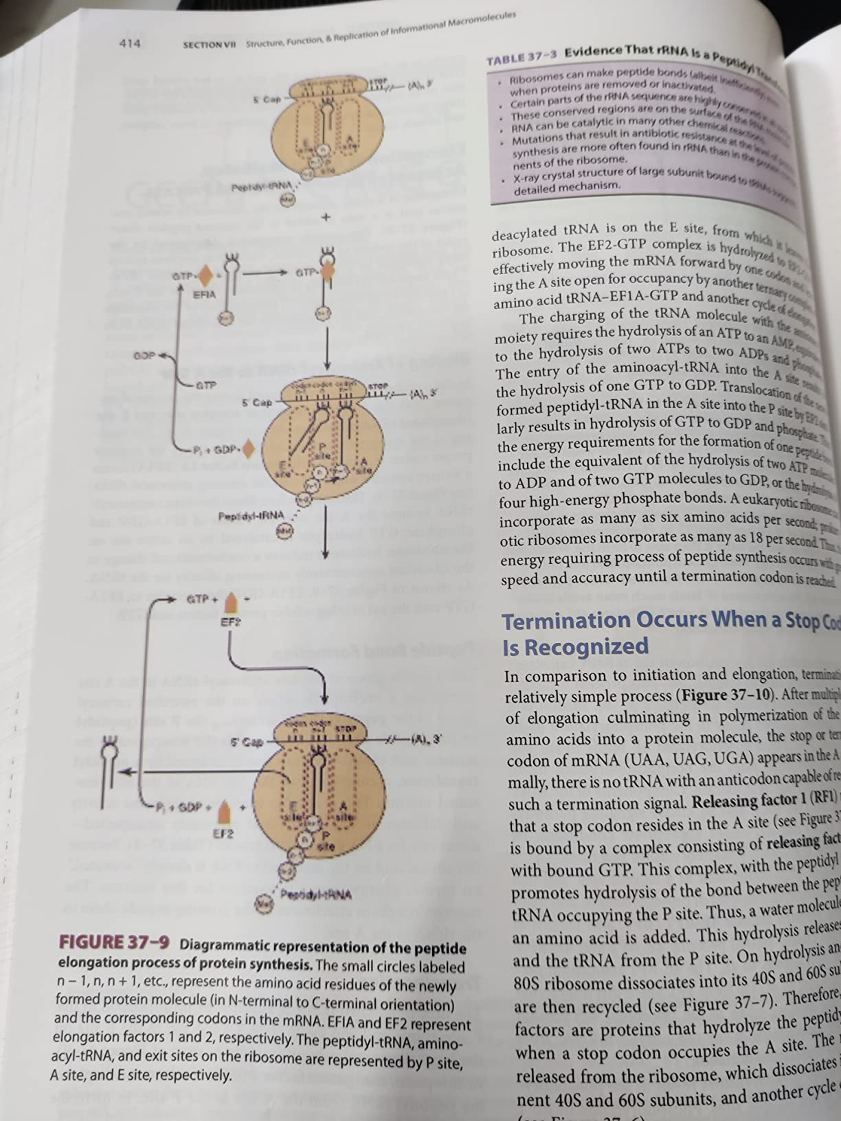 Buy HARPER'S ILLUSTRATED BIOCHEMISTRY 32E Book Online at Low Prices in ...
