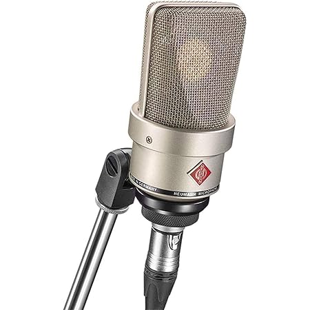Amazon.com: Neumann U 87 Ai Large-Diaphragm Condenser Microphone ...