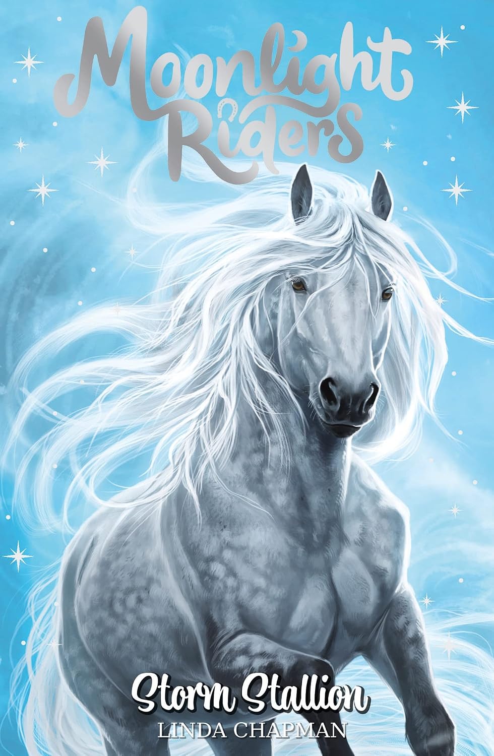 Moonlight Riders: Storm Stallion: Book 2: Linda Chapman: 9781408366790 ...