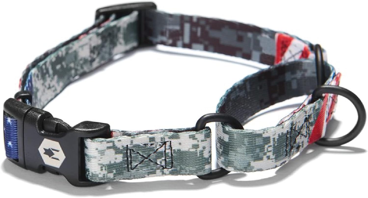 Amazon.com : Wolfgang Heavy Duty Martingale Dog Collar with Quick ...