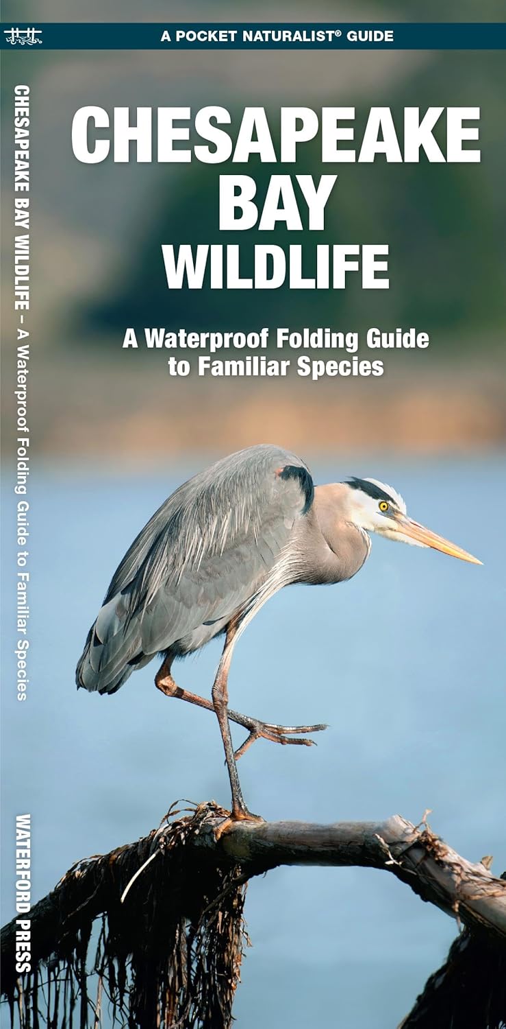 Chesapeake Bay Wildlife, 2nd Ed (Nature Observation North America ...