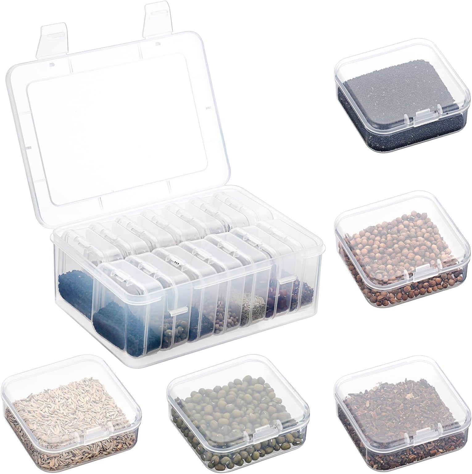 Amazon.com : XLSXEXCL 16 Slots Seed Storage Organizer Box, Garden Seed ...