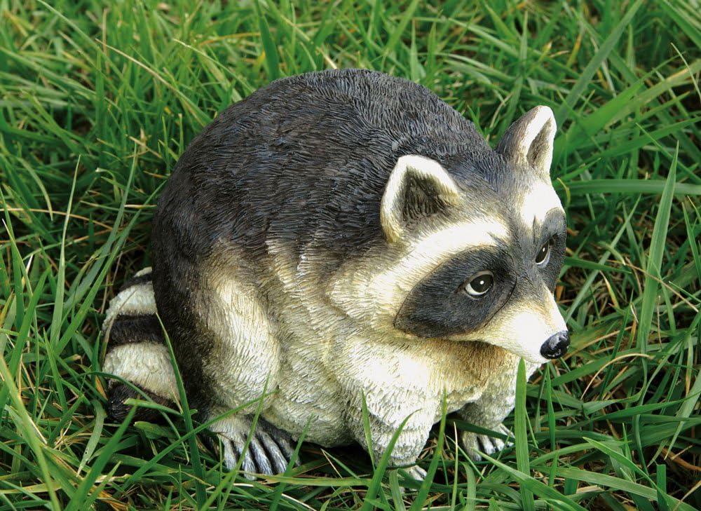 Amazon.com : Evergreen Flag & Garden Racoon Portly Statue : Outdoor ...