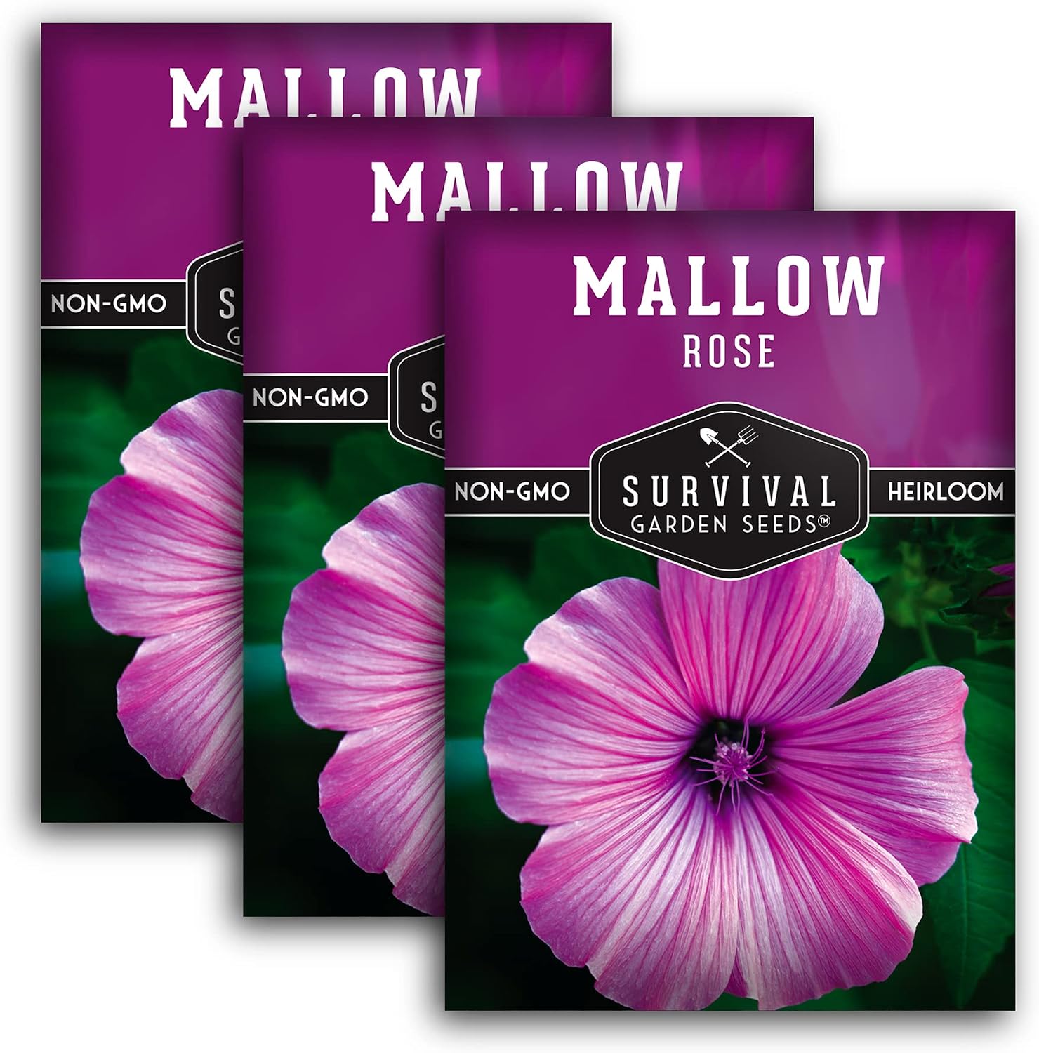 Amazon.com : Rose Mallow Seeds for Planting - Annual Lavatera ...