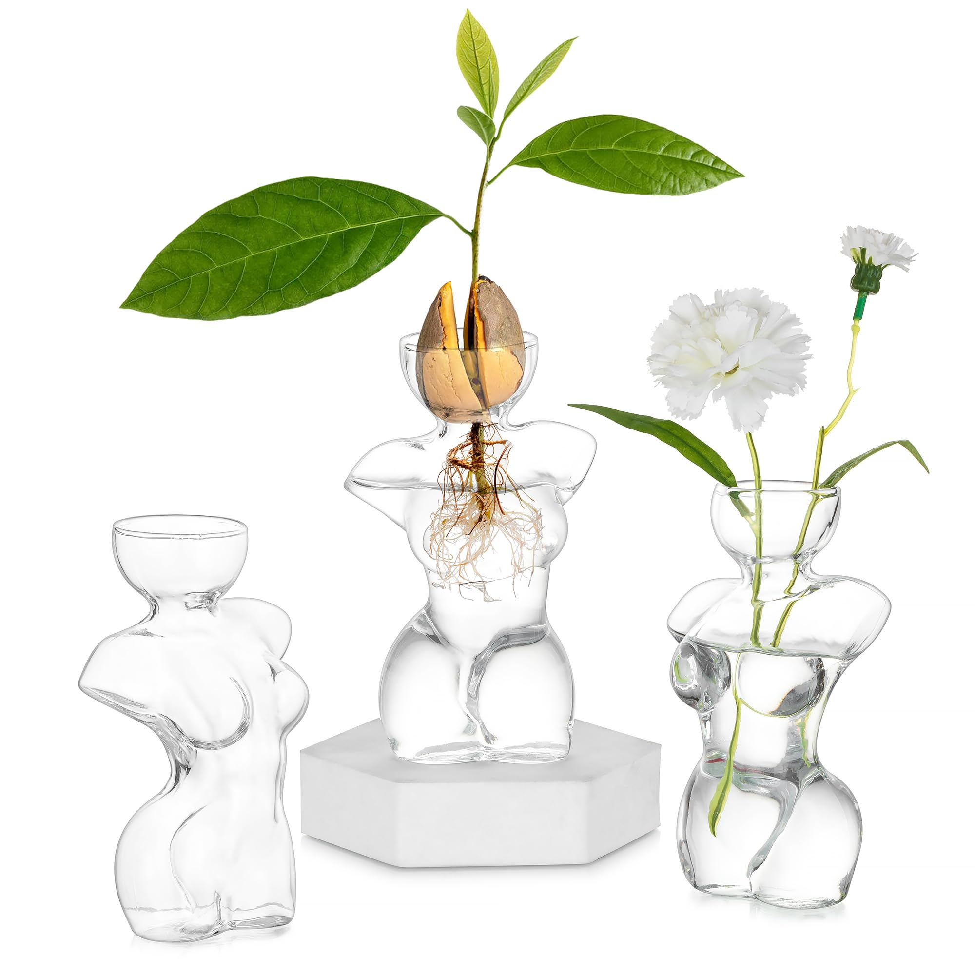 Amazon.com: Glasseam Glass Avocado Vase: Female Body Vase Set of 3 ...