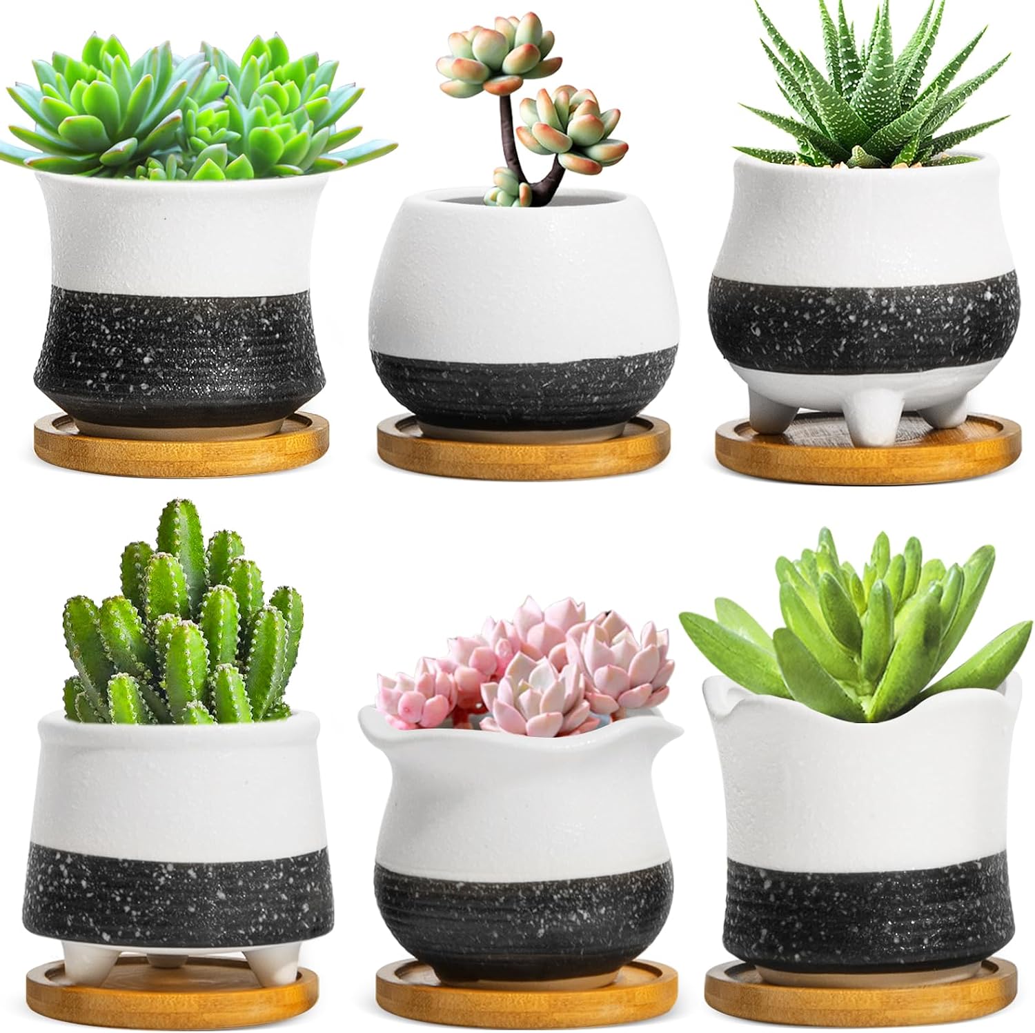 Amazon.com: EZEJIAO Succulent Pots Unique Pots for Succulent with ...
