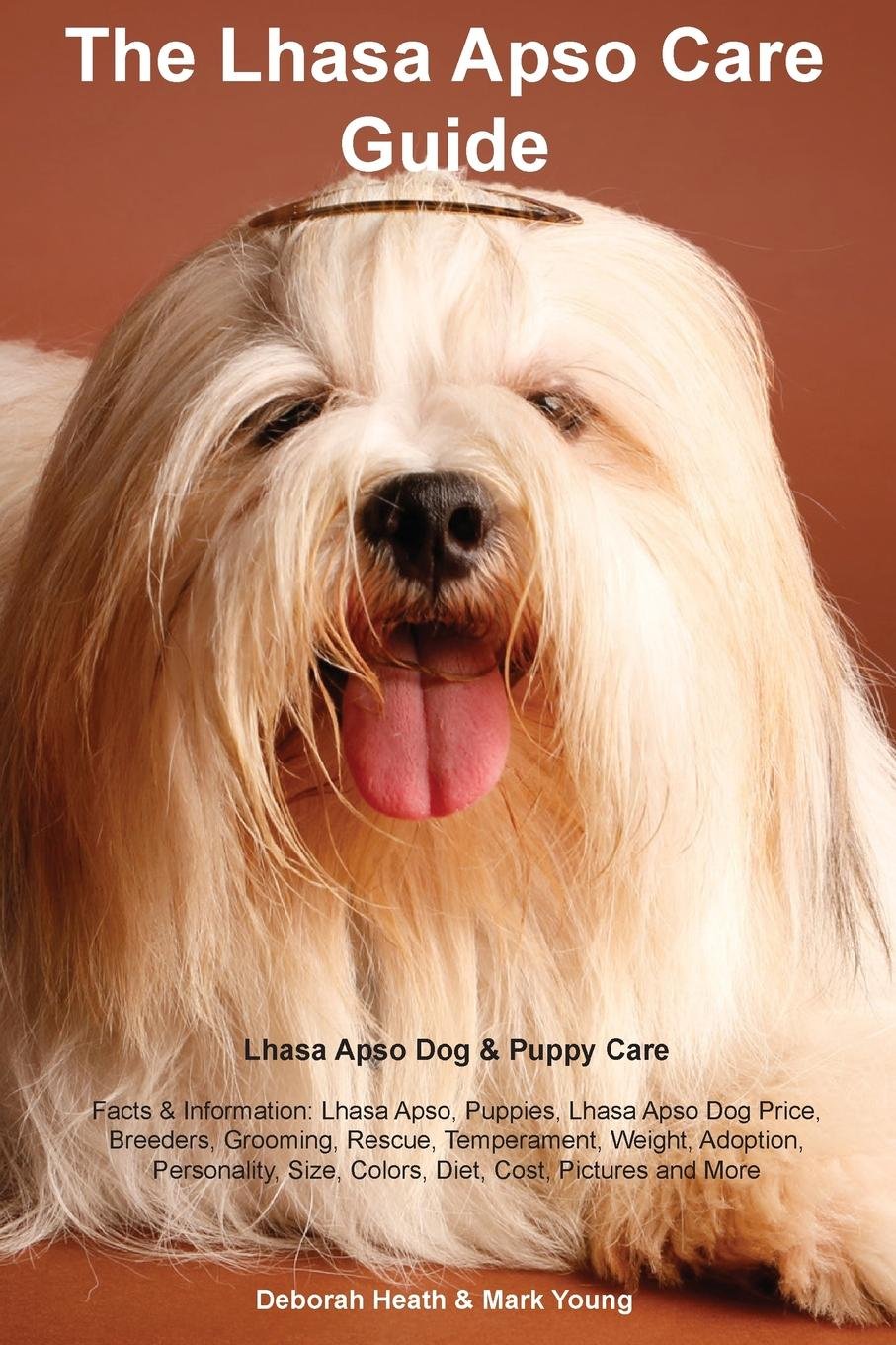 A Lhasa Apso Breed Dog Breed