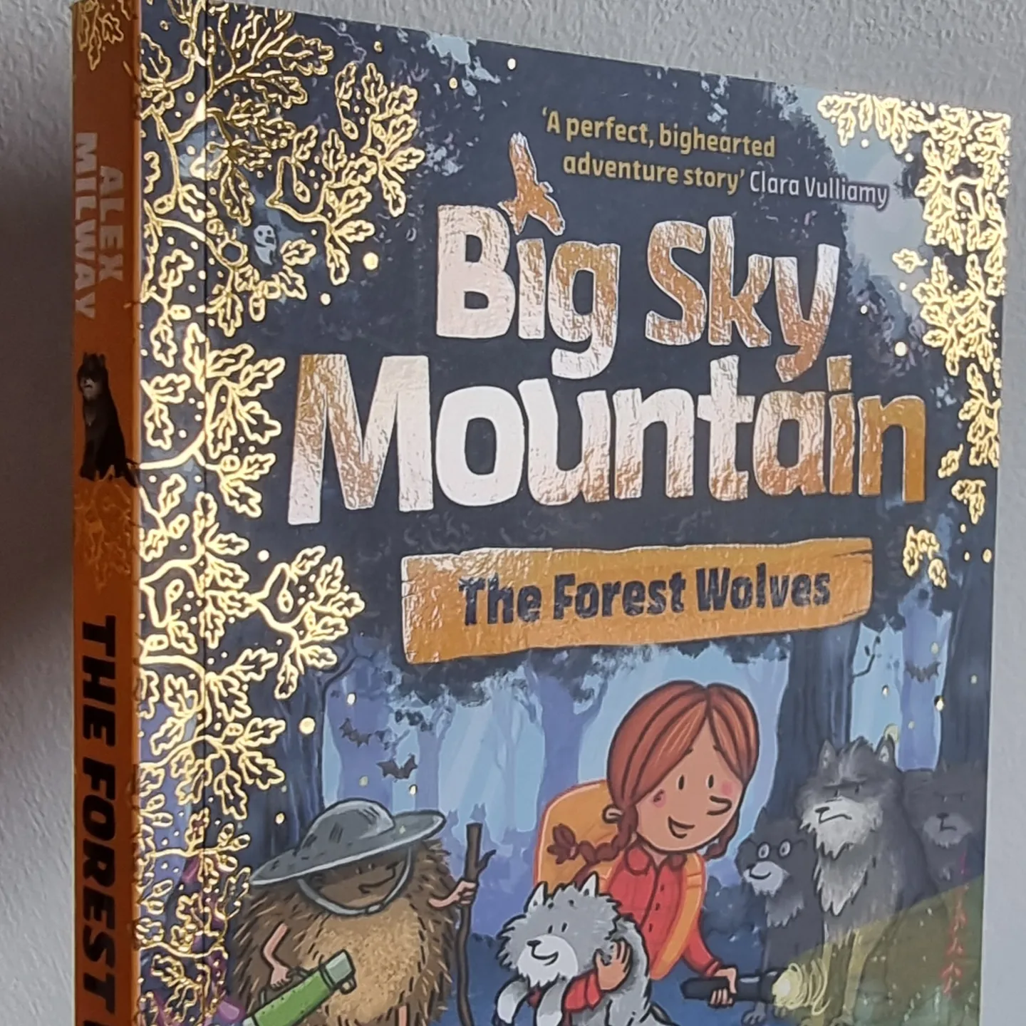 Big Sky Mountain: The Forest Wolves : Milway, Alex: Amazon.co.uk: Books