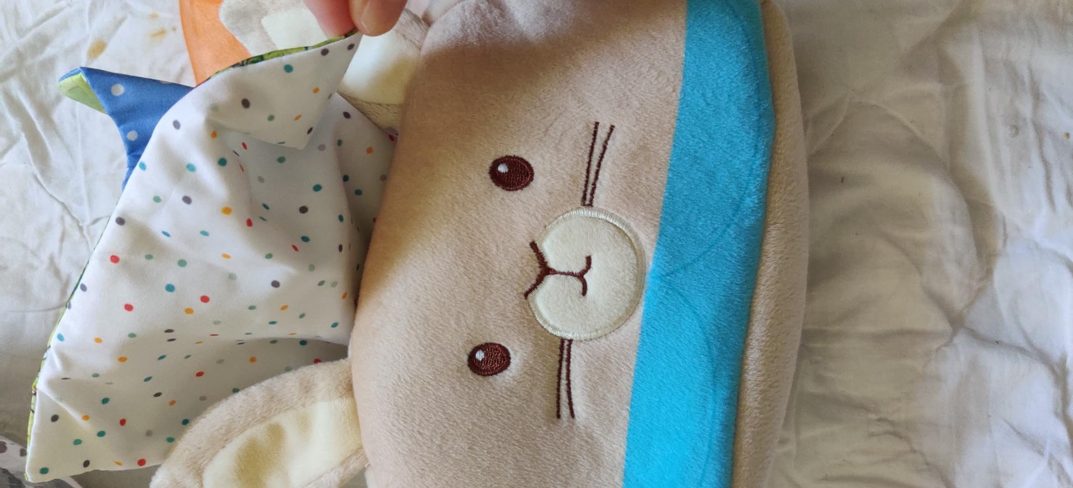 Amazon.com: Kids Preferred Peter Rabbit Tissue Box Montessori Sensory ...