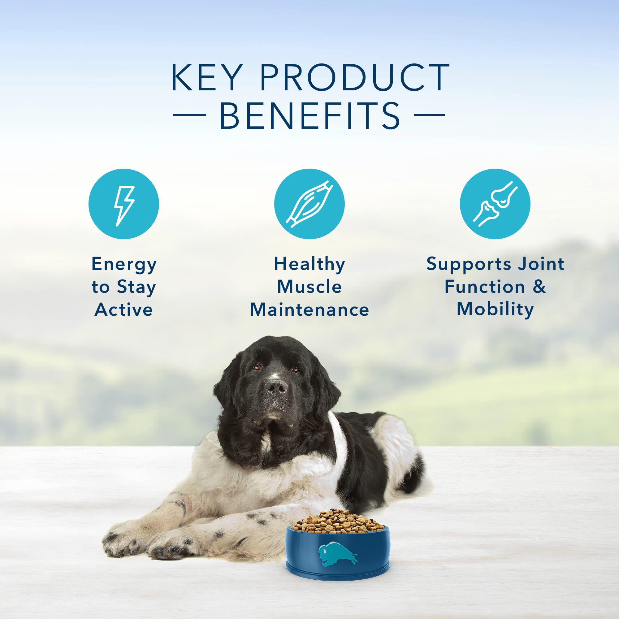 Blue Longevity Puppy Food