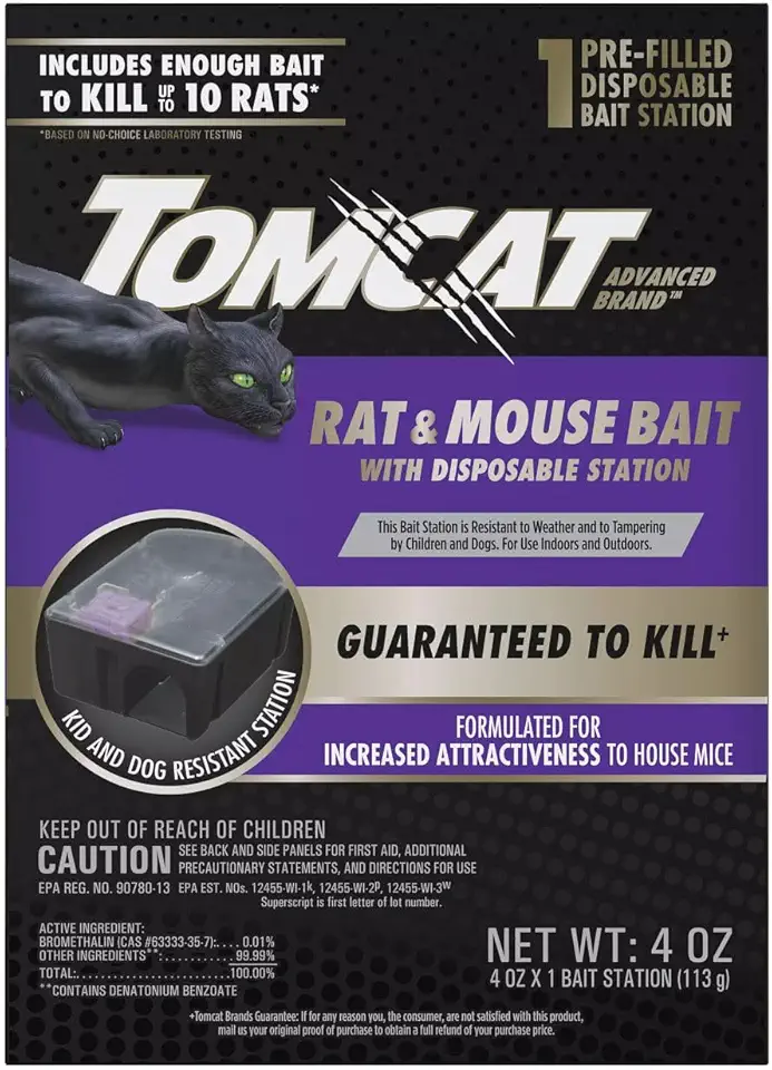 Cat Rat Poison Symptoms: How To Recognize And Treat Poisoning In Cats ...