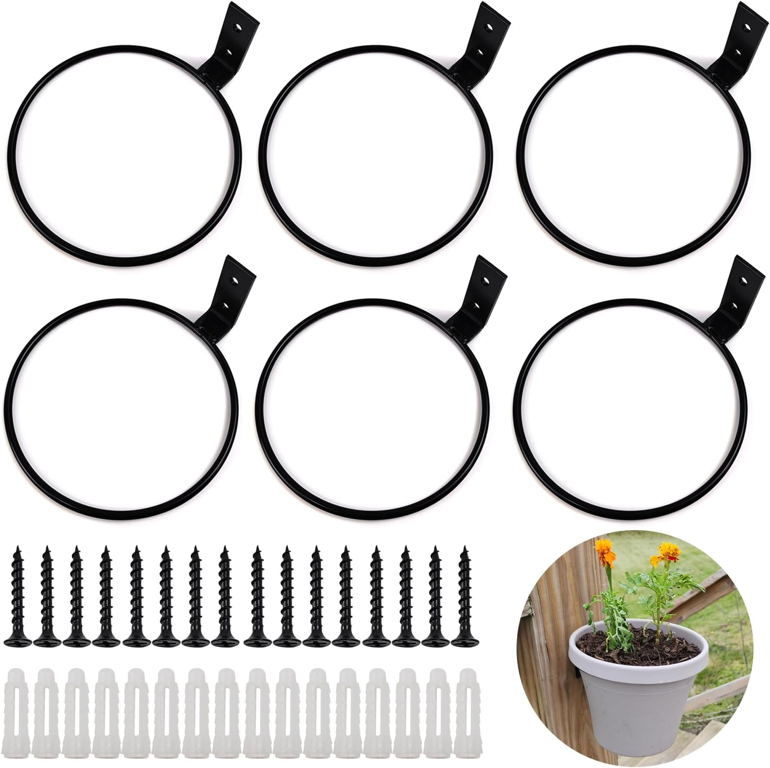 Amazon.com: Geetery 24 Pcs Wall Plant Holder Ring 4/5/ 6 Inch Flower ...