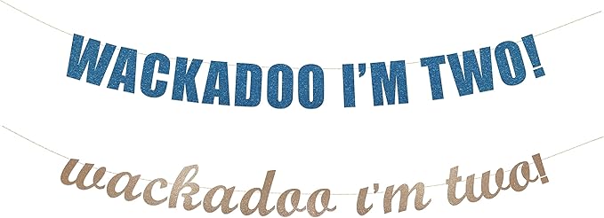 Amazon.com: Wackadoo I'm Two! banner - Second Birthday, Happy 2nd ...