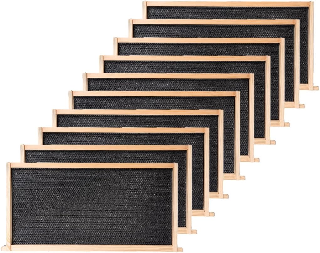 Amazon.com : POLLIBEE Deep Brood Beehive Frames and Wax Foundations,10 ...