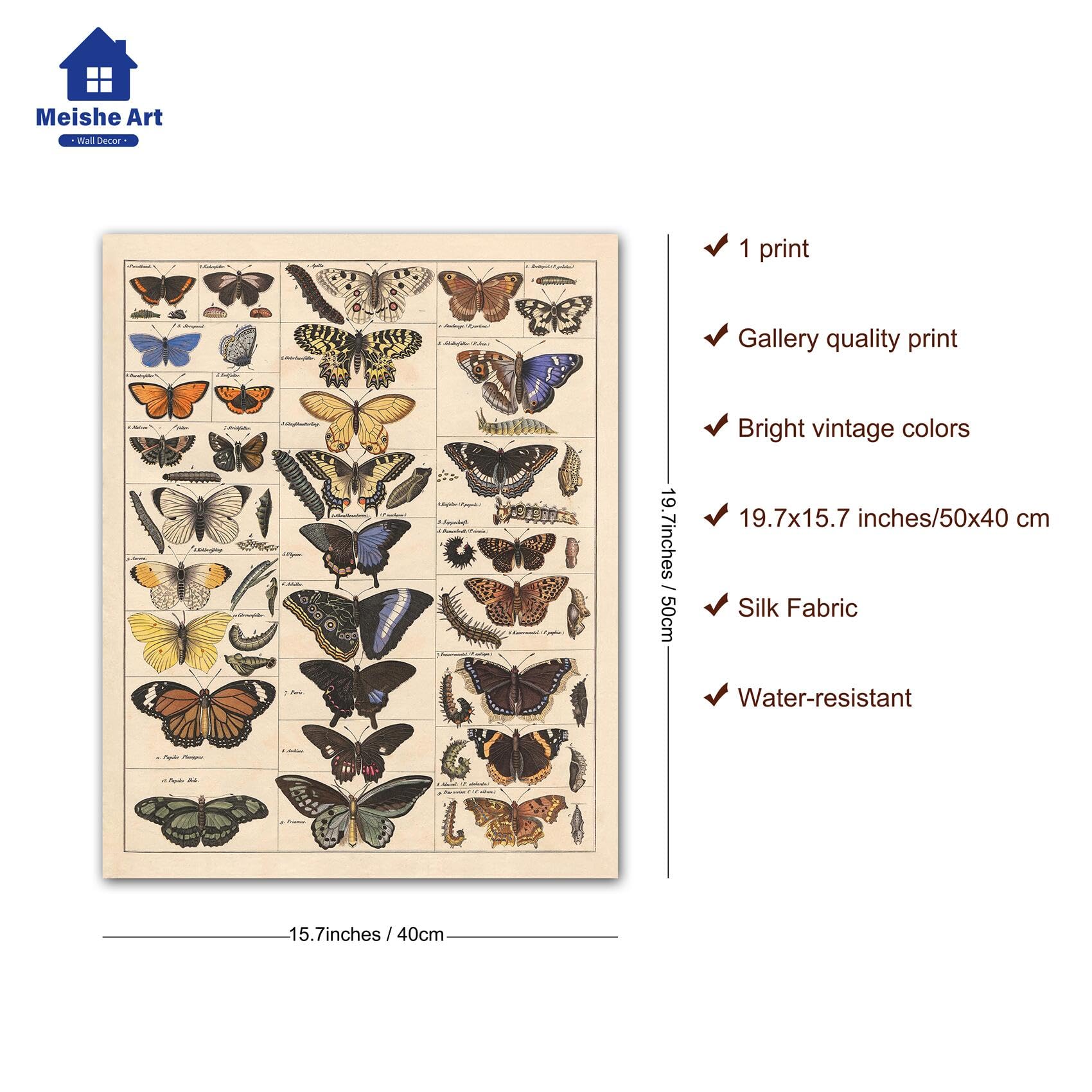 Vintage Butterfly Chart Butterflies – Thepuzzlesivedone