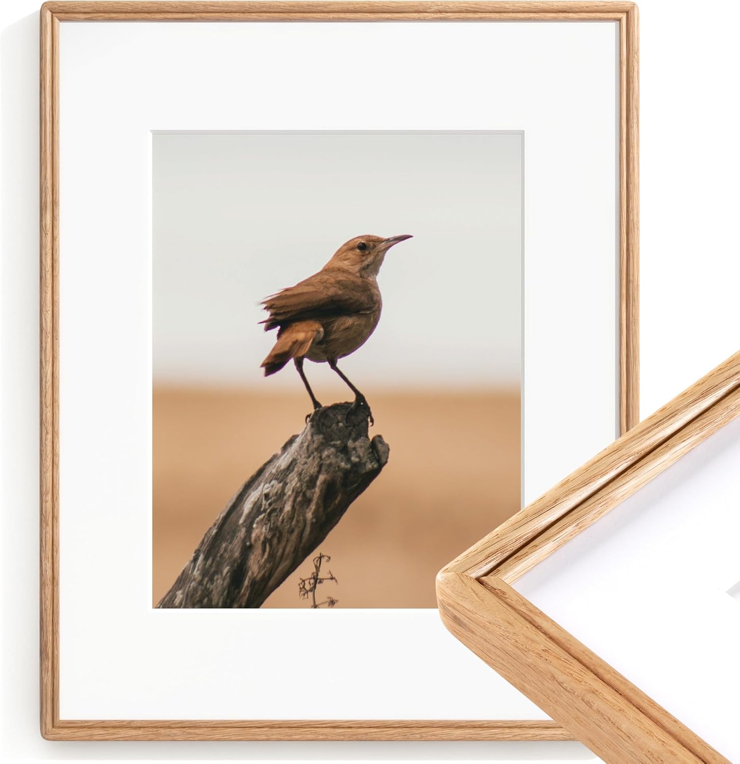 Amazon.com - 16X20 Picture Frame, Natural USA-Sourced Solid Oak Wood ...