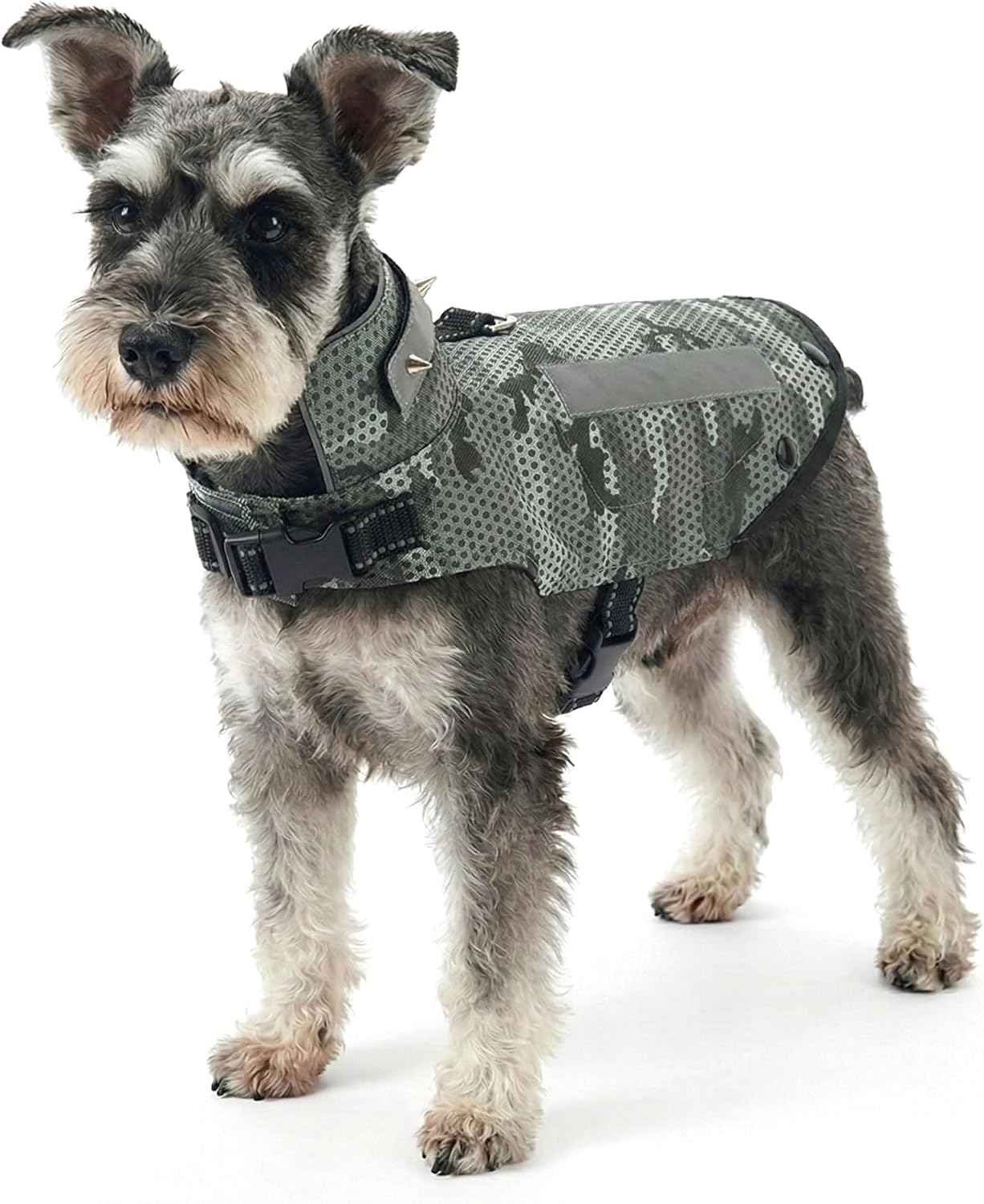 Amazon.com : Hoovia Protective Spiked Harness for Small Dogs, Removable ...