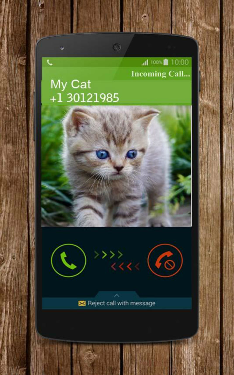 Fake Cat Call Prank - Fake Call from Cat Prank (Calling Prank from Cat ...