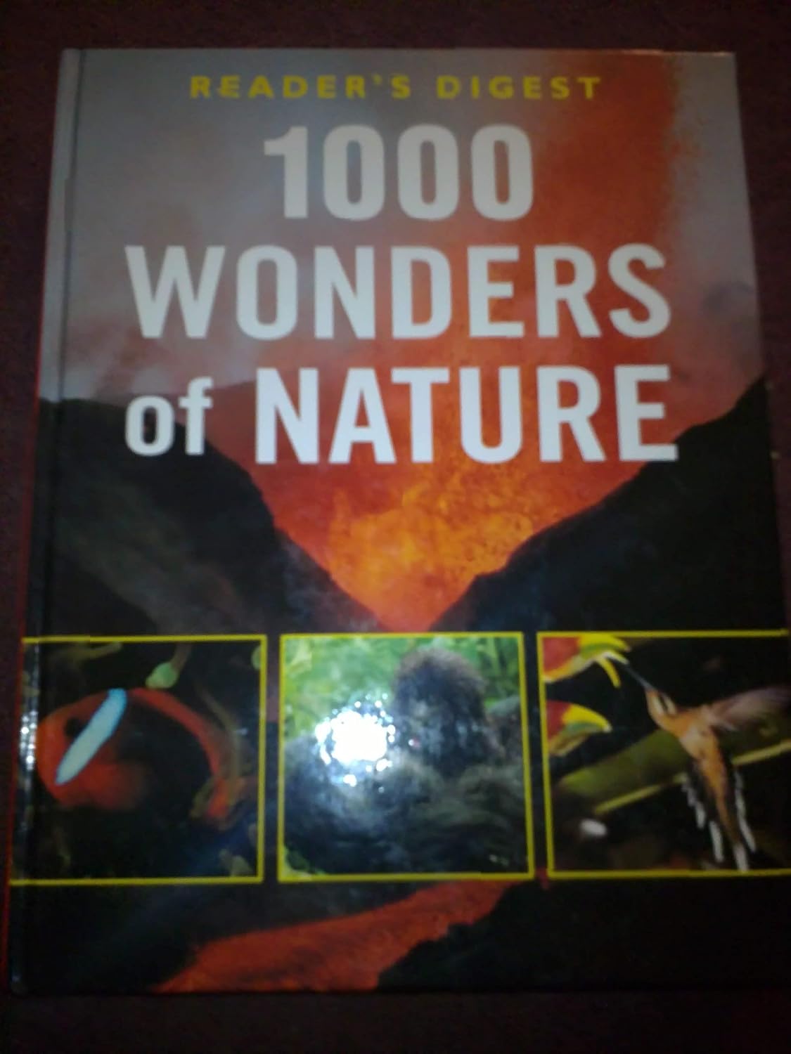 1000 Wonders Of Nature (Reader's Digest): Reader's Digest Association ...