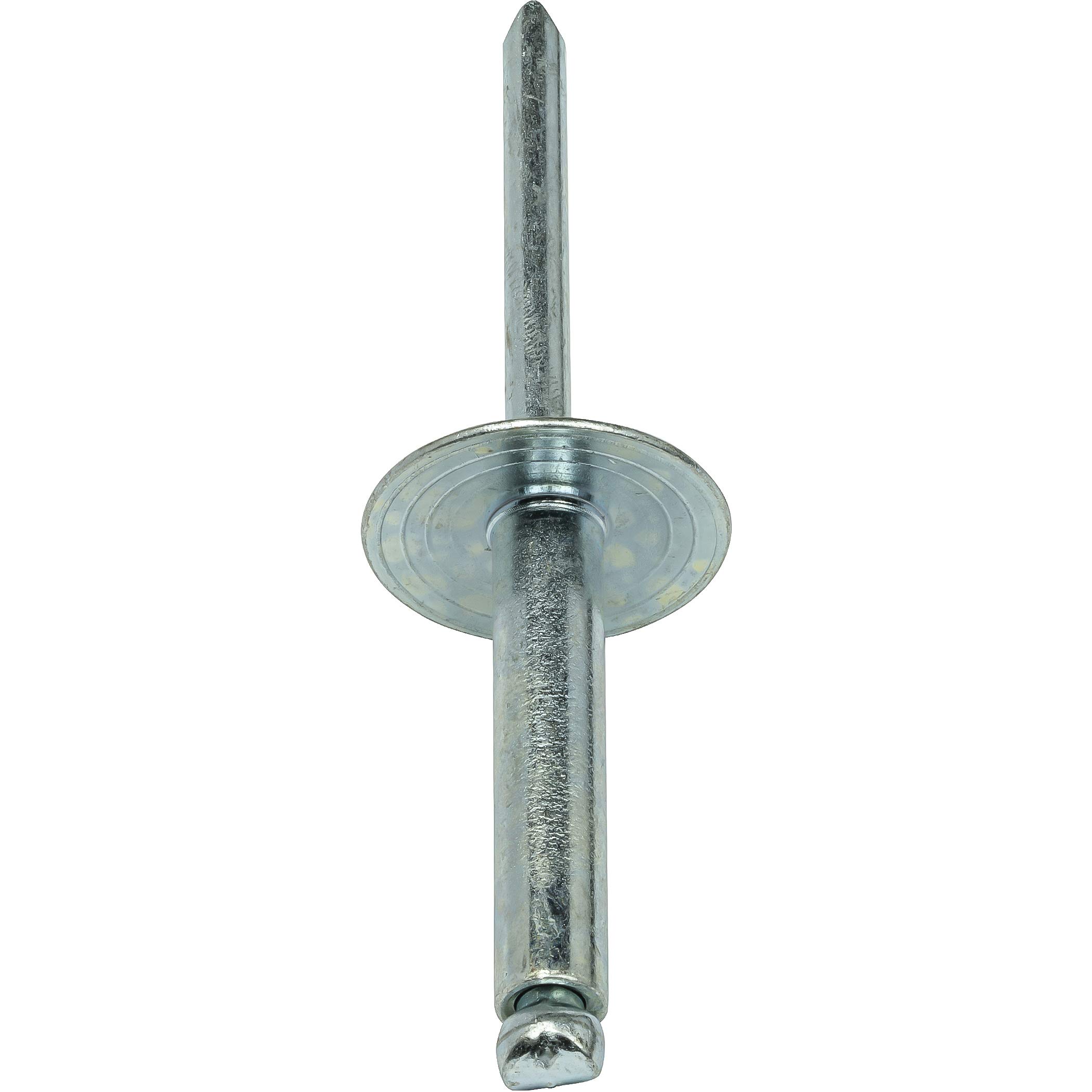Snapklik.com : Fastenere Large Flange Pop Rivets - 3/16" X 1"