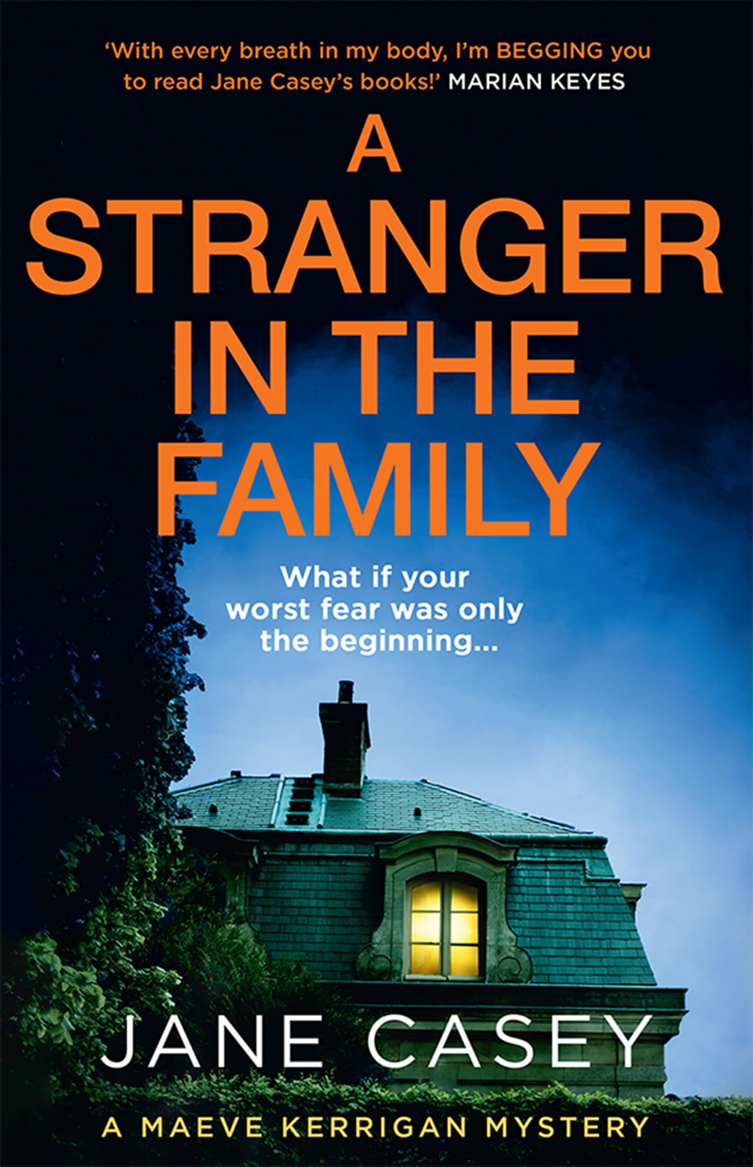 Amazon.com: A Stranger in the Family: The new detective crime thriller ...