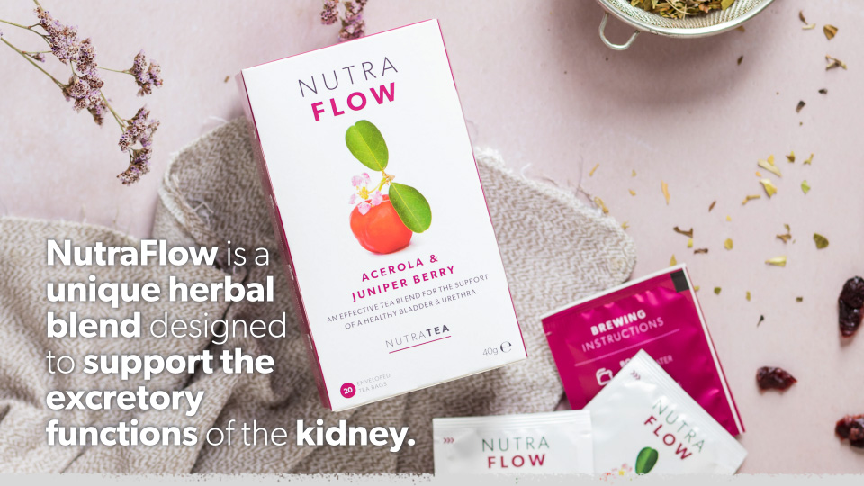 Nutra Flo Logo Nutra Thygland Thyroid Health Supplement 30 Tabs