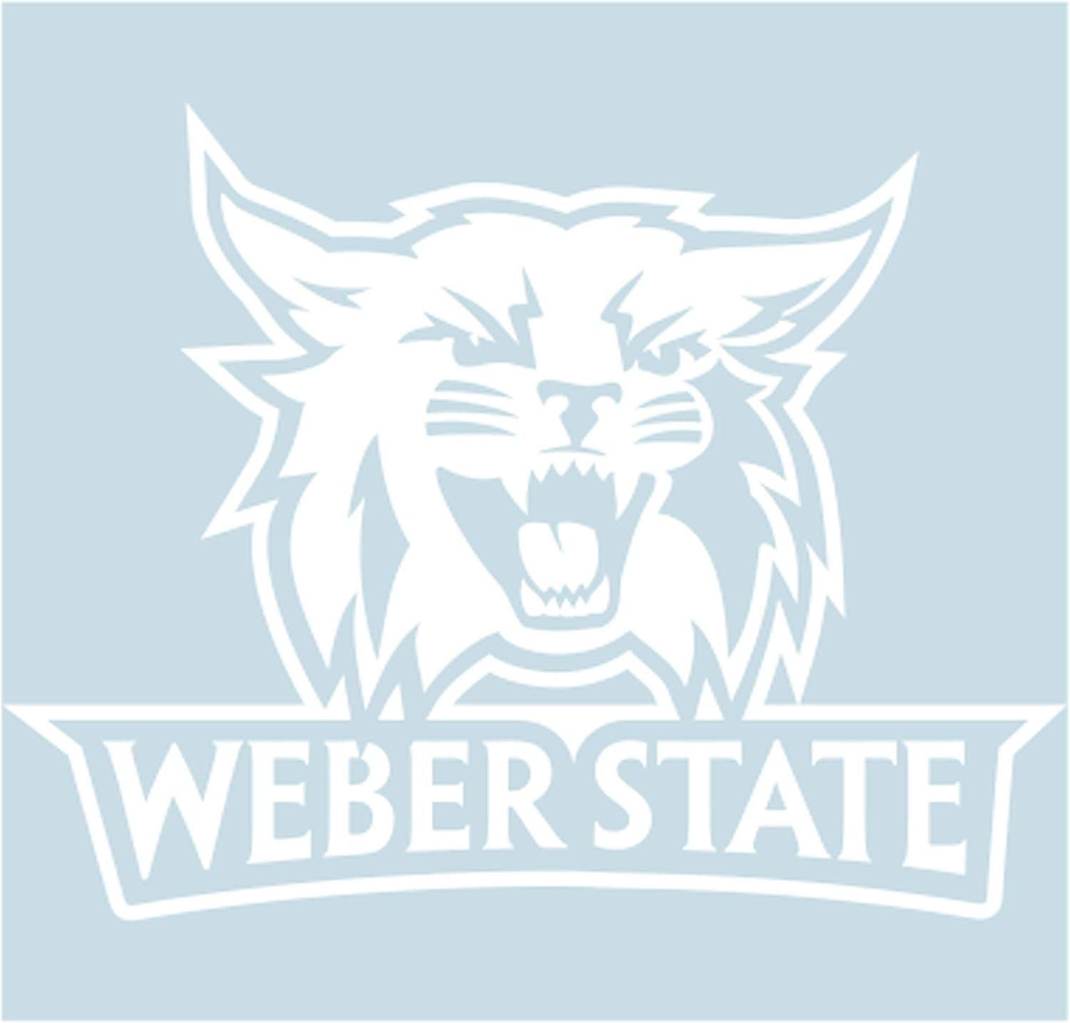 Amazon.com: Weber State Decal : Sports & Outdoors