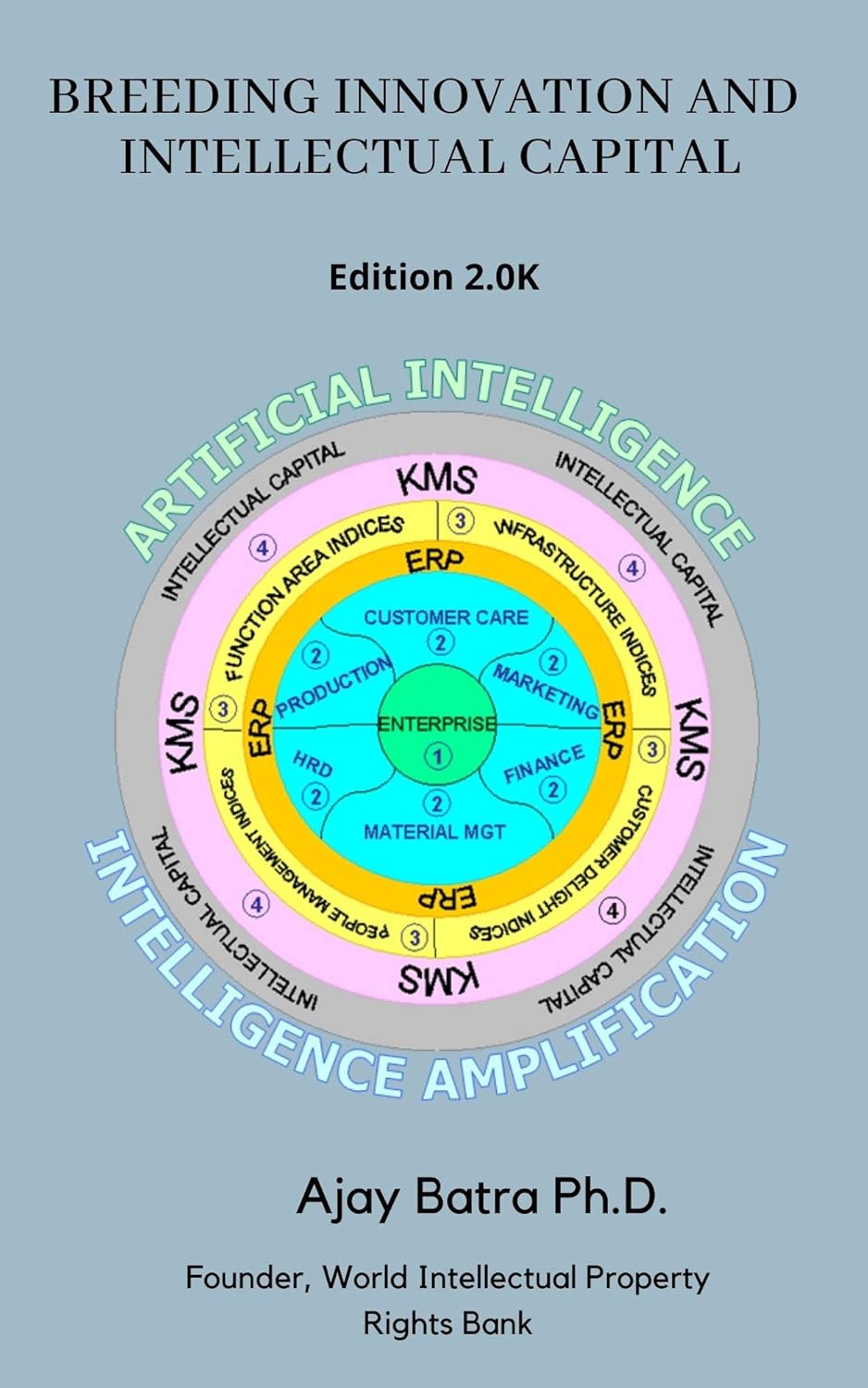 Amazon.com: Breeding Innovation and Intellectual Capital eBook : Batra ...