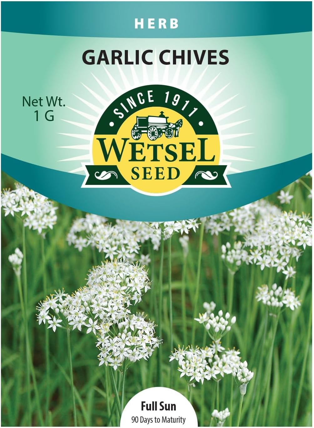 Amazon.com : Wetsel Seed™ Garlic Chives Seed, 1g Packet, 10-Pack ...