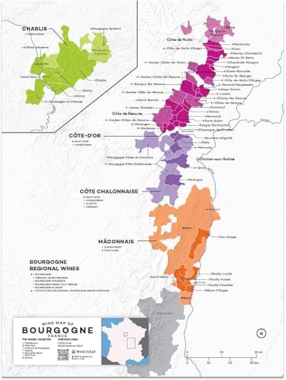 Wine Folly França: Borgonha mapa de vinho impressão de pôster, 12" x 16 ...