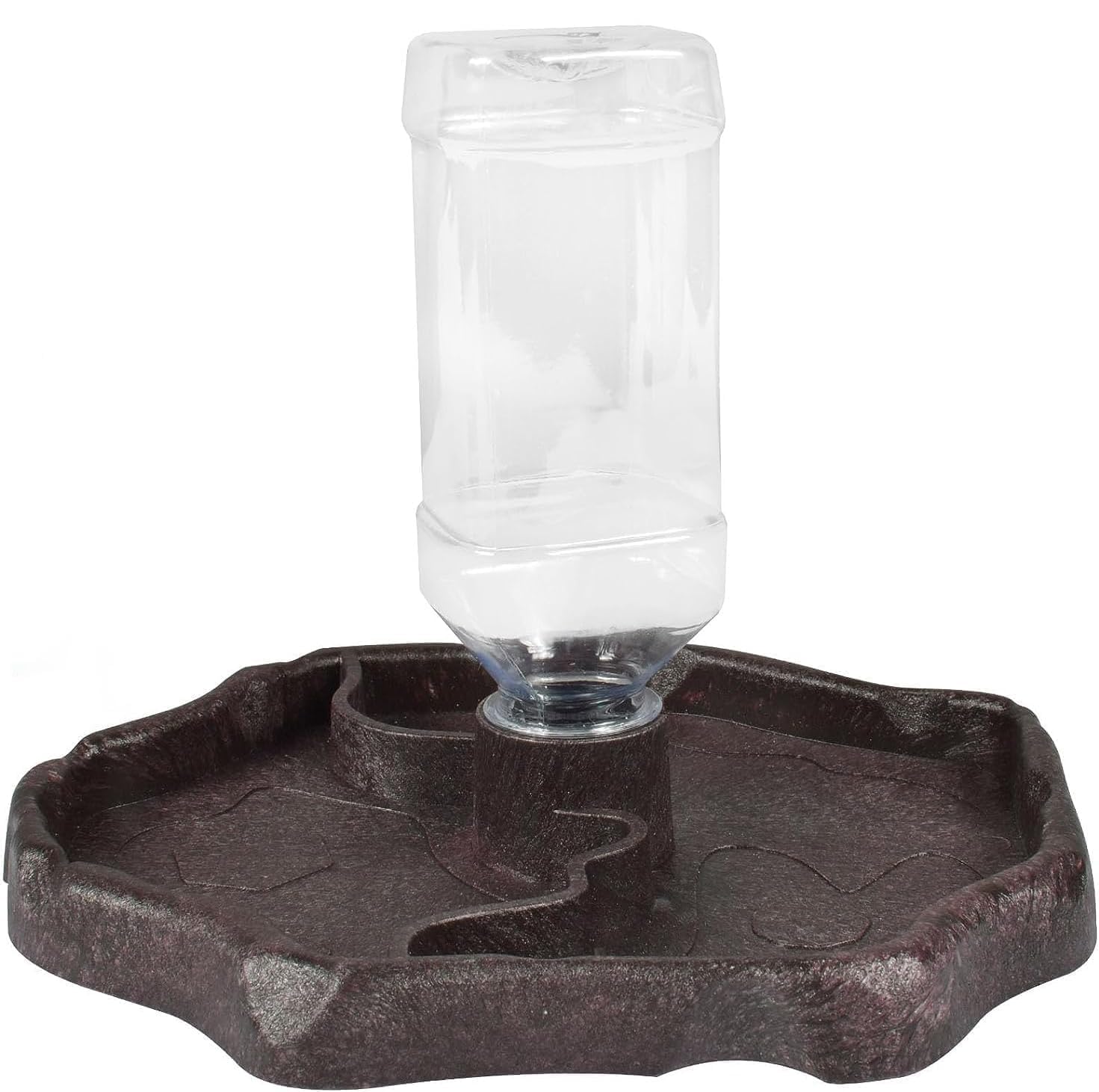 Funmo 2 in 1 Reptile Water Dish, Bowls for Reptiles Amphibians,Turtle ...