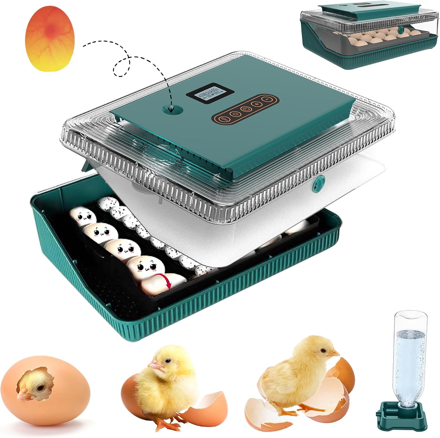 Amazon.com : MILBOPAX 12-25 Egg Incubator with Automatic Turner ...