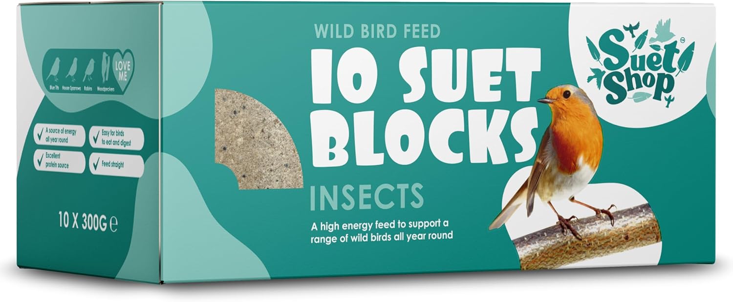 Suet Shop - Insect Suet Blocks for Wild Birds, 300g (Pack of 10 ...