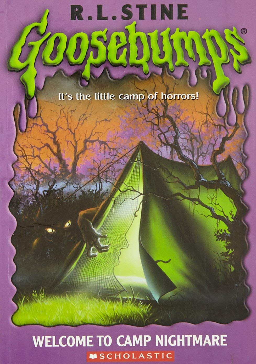 Welcome To Camp Nightmare (Goosebumps): R.L. Stine: 9780590466196 ...