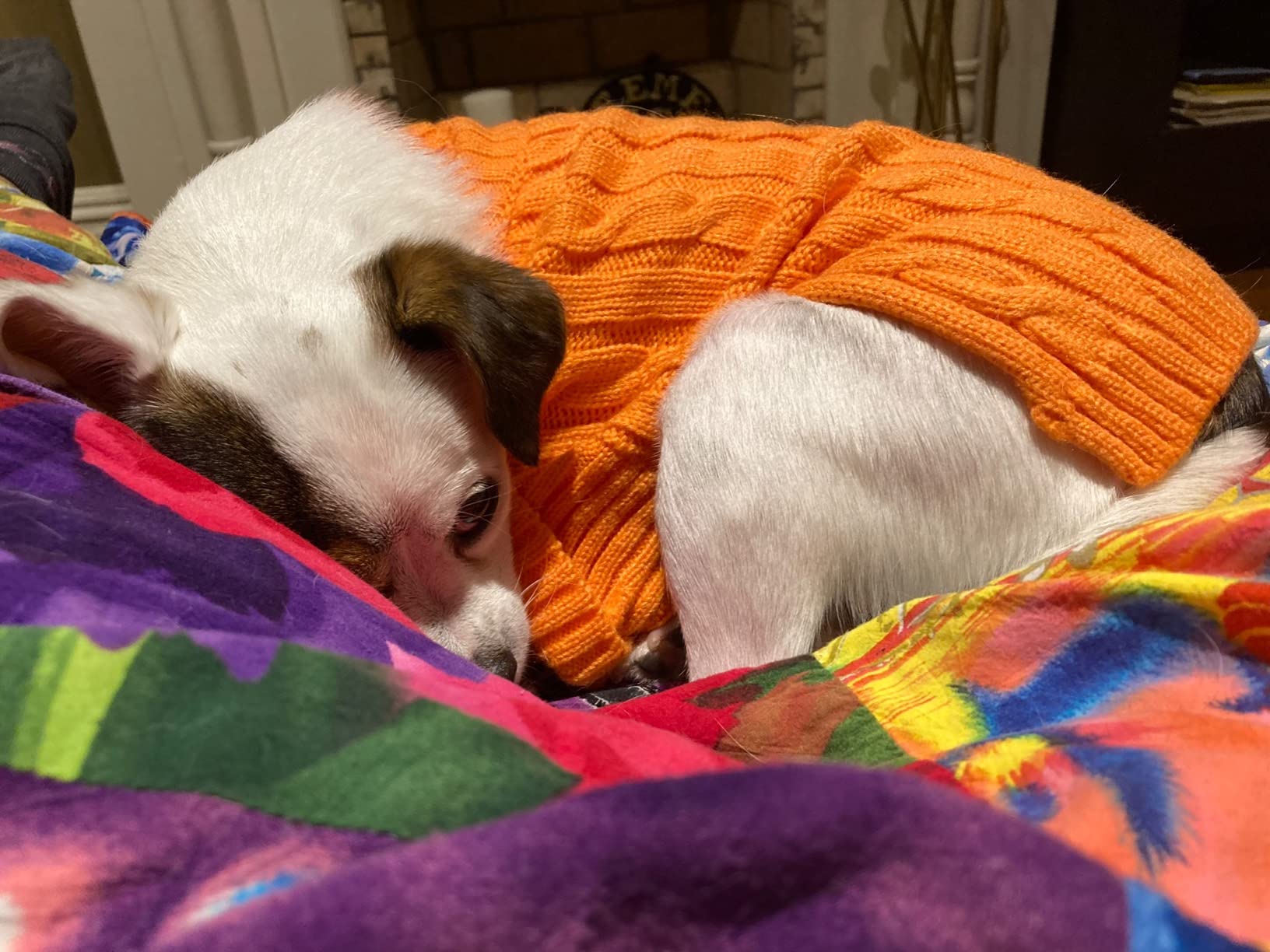 $3/mo - Finance Stinky G Turtleneck Dog Sweater | Buy Now, Pay Later