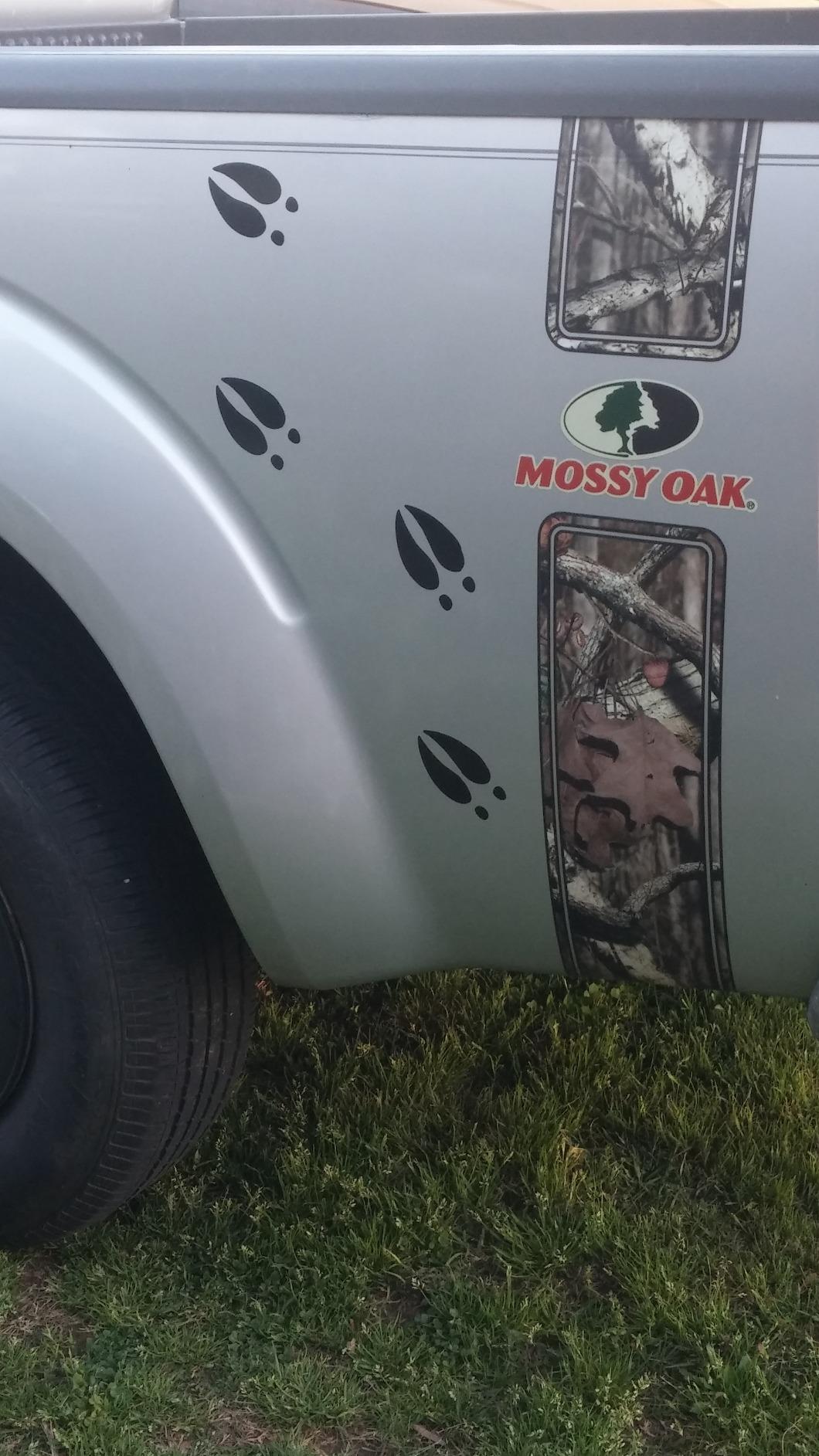 Amazon.com: Designer Signs Deer Track Decals - Set of 12 : Sports ...