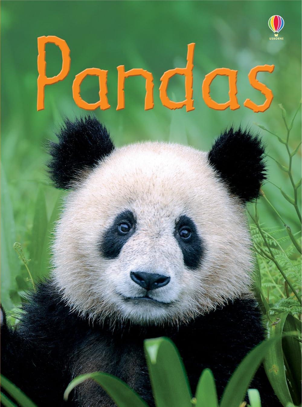 Pandas (Beginners) : James Maclaine: Amazon.co.uk: Books