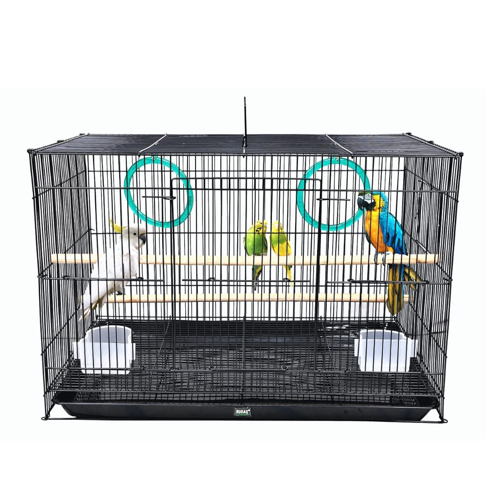BURAQ Iron, Pets Premium 18 Inch Bird Cage Best For Lovebird, Parrot ...