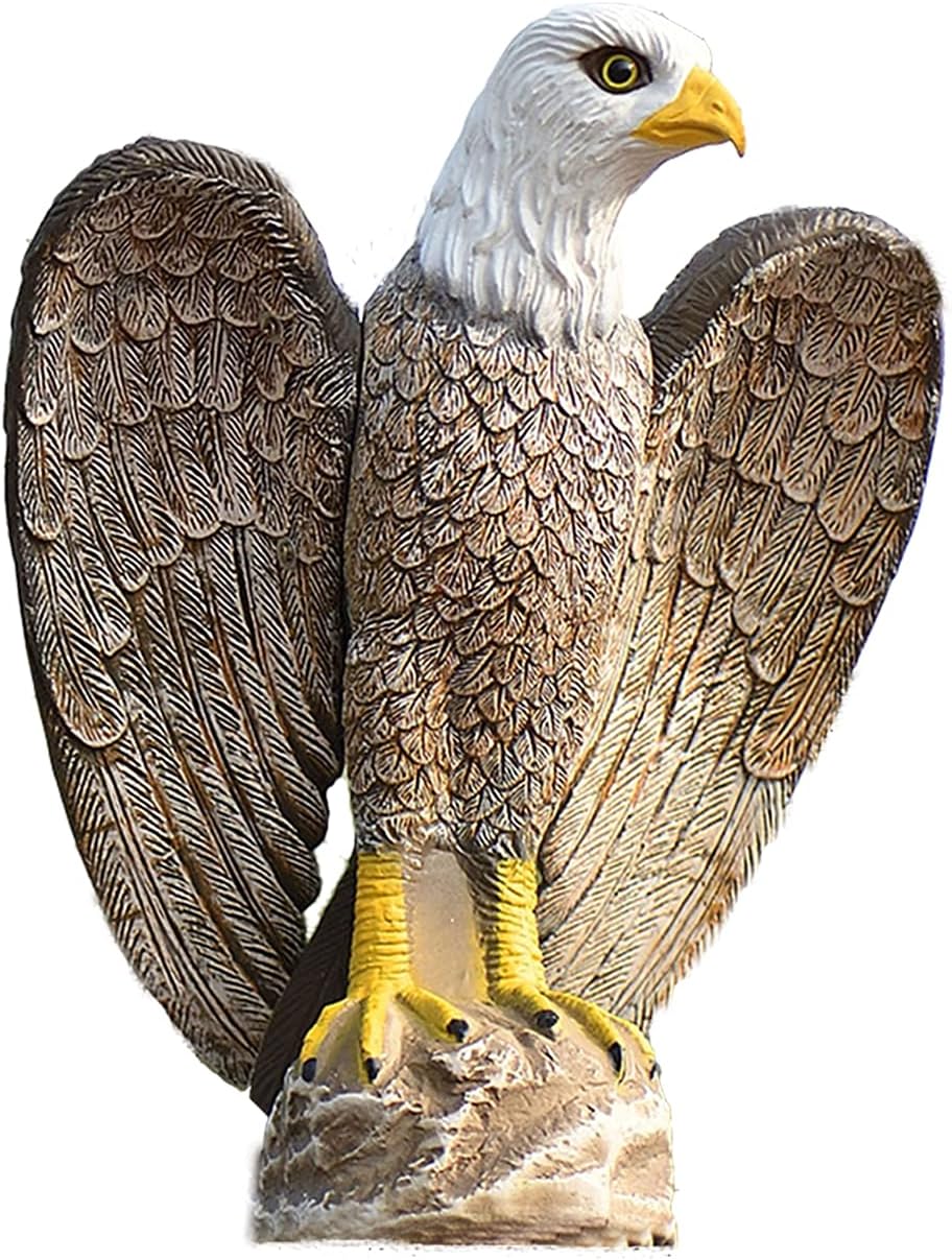 Amazon.com: LIUYICRAFT 17 inch Realistic Bald Eagle Statue Plastic Bald ...