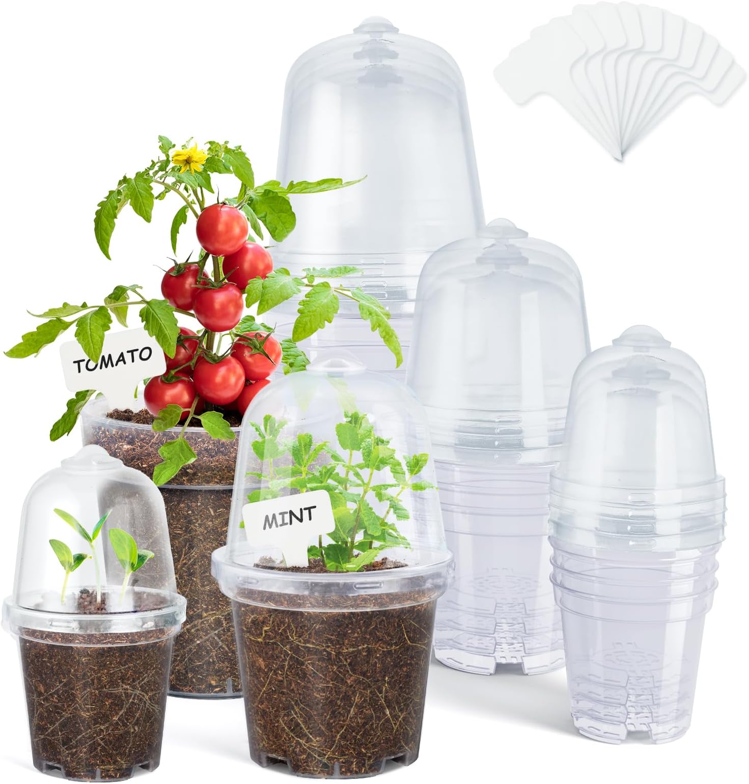 Amazon.com: BENLIUDH 4 inch Pots for Plants, Planters for Indoor Plants ...