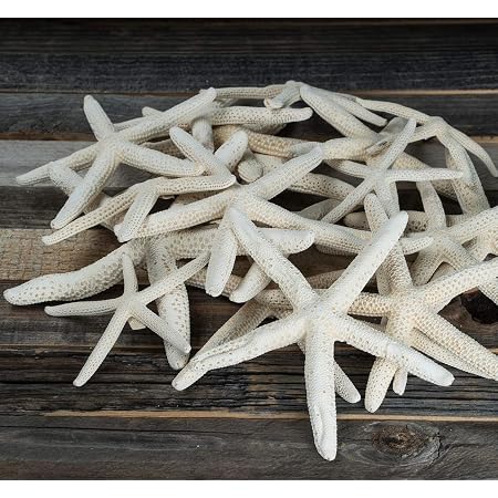 Amazon.com: Real Starfish Decor - (10 pk) 4-5" Assorted White Starfish ...