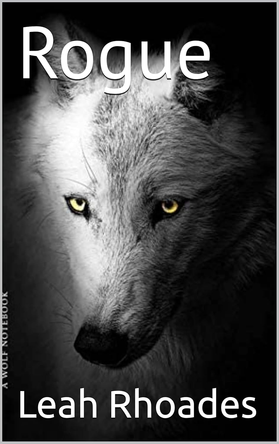 Rogue eBook : Rhoades, Leah: Amazon.co.uk: Kindle Store