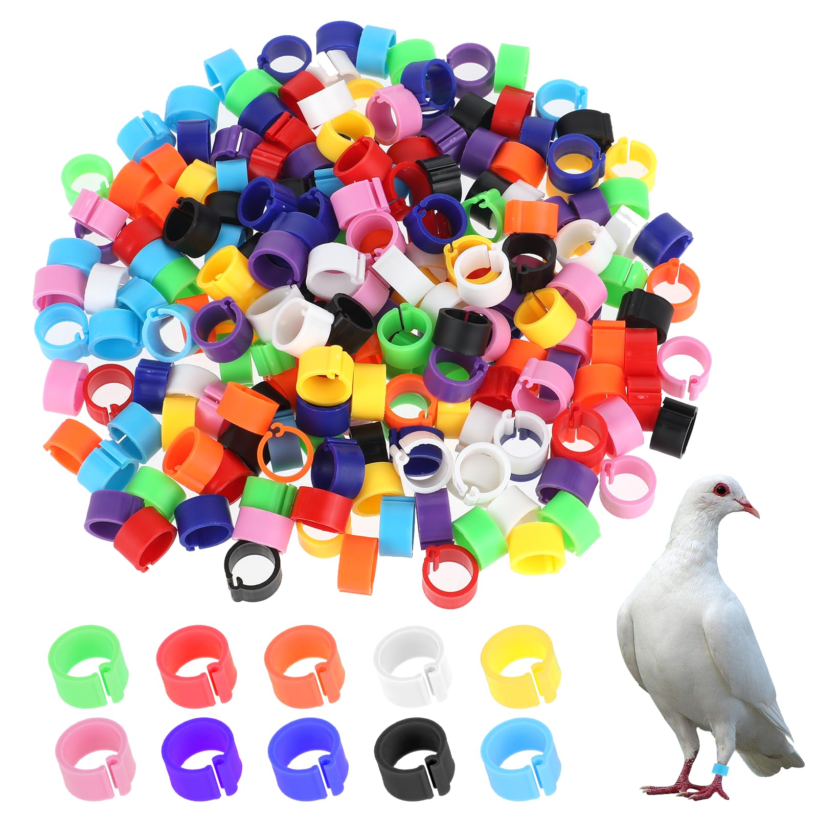 Amazon.com : 100 Pcs Pigeon Bands Poultry Leg Rings Quail Leg Bands ...