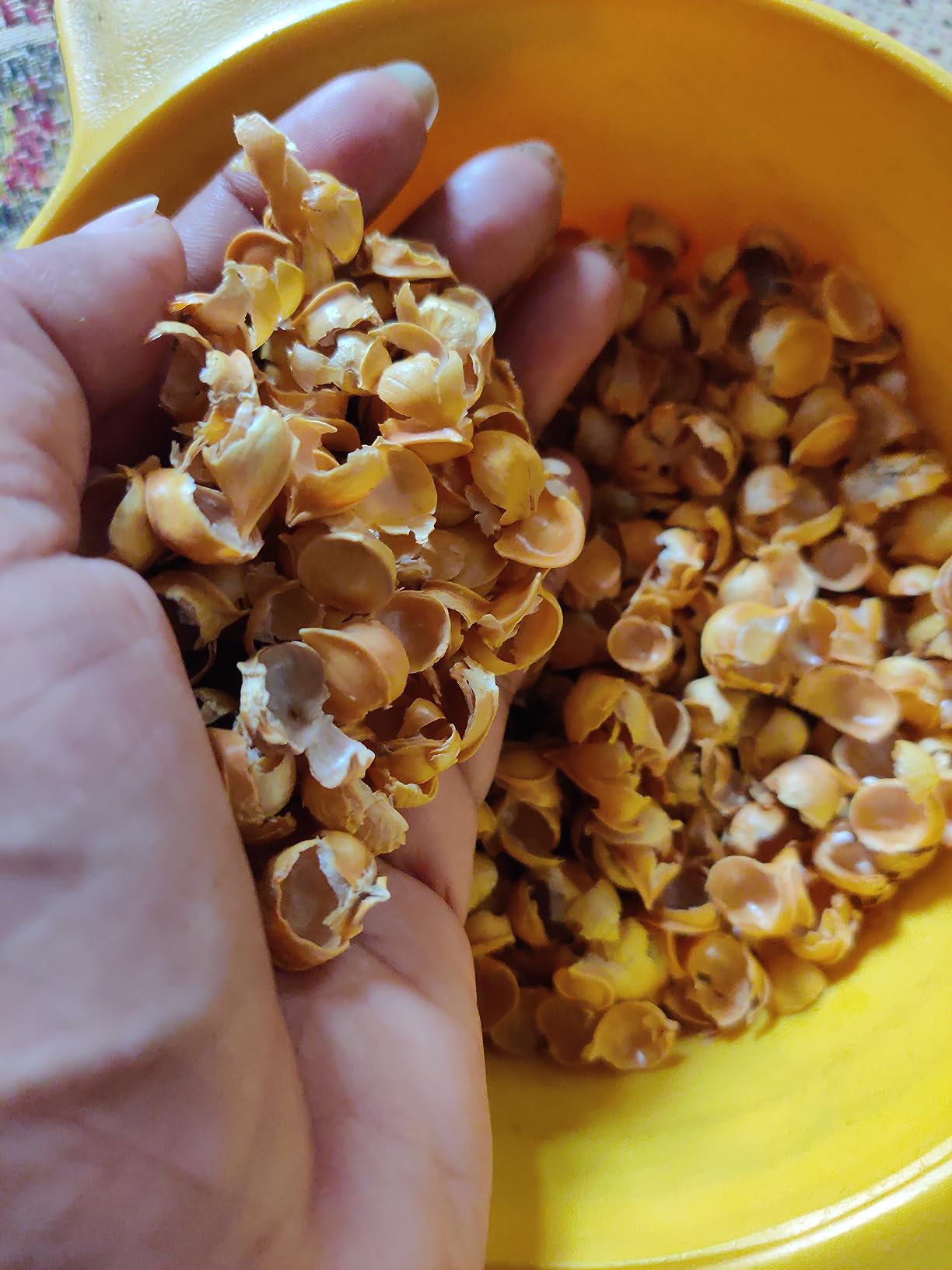 Fruitri Organic Himalayan Garlic/Kashmiri Lehsun 250gm - Premium ...