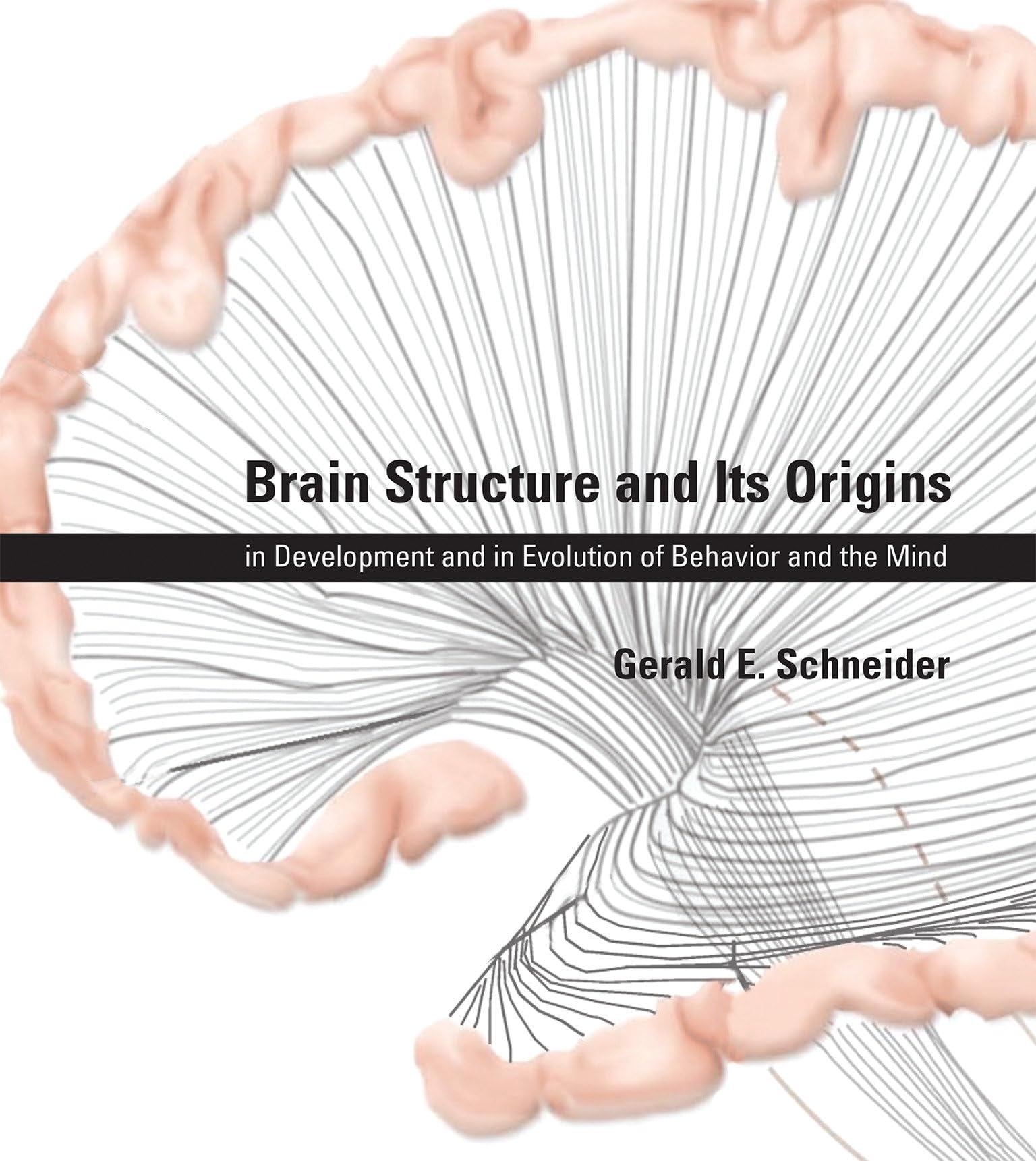 Brain Structure and Its Origins: in Development and in Evolution of ...