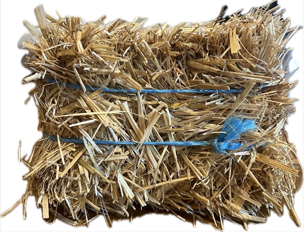 Amazon.com : Mini Straw Bale – All-Natural Wheat Straw for Rustic Décor ...